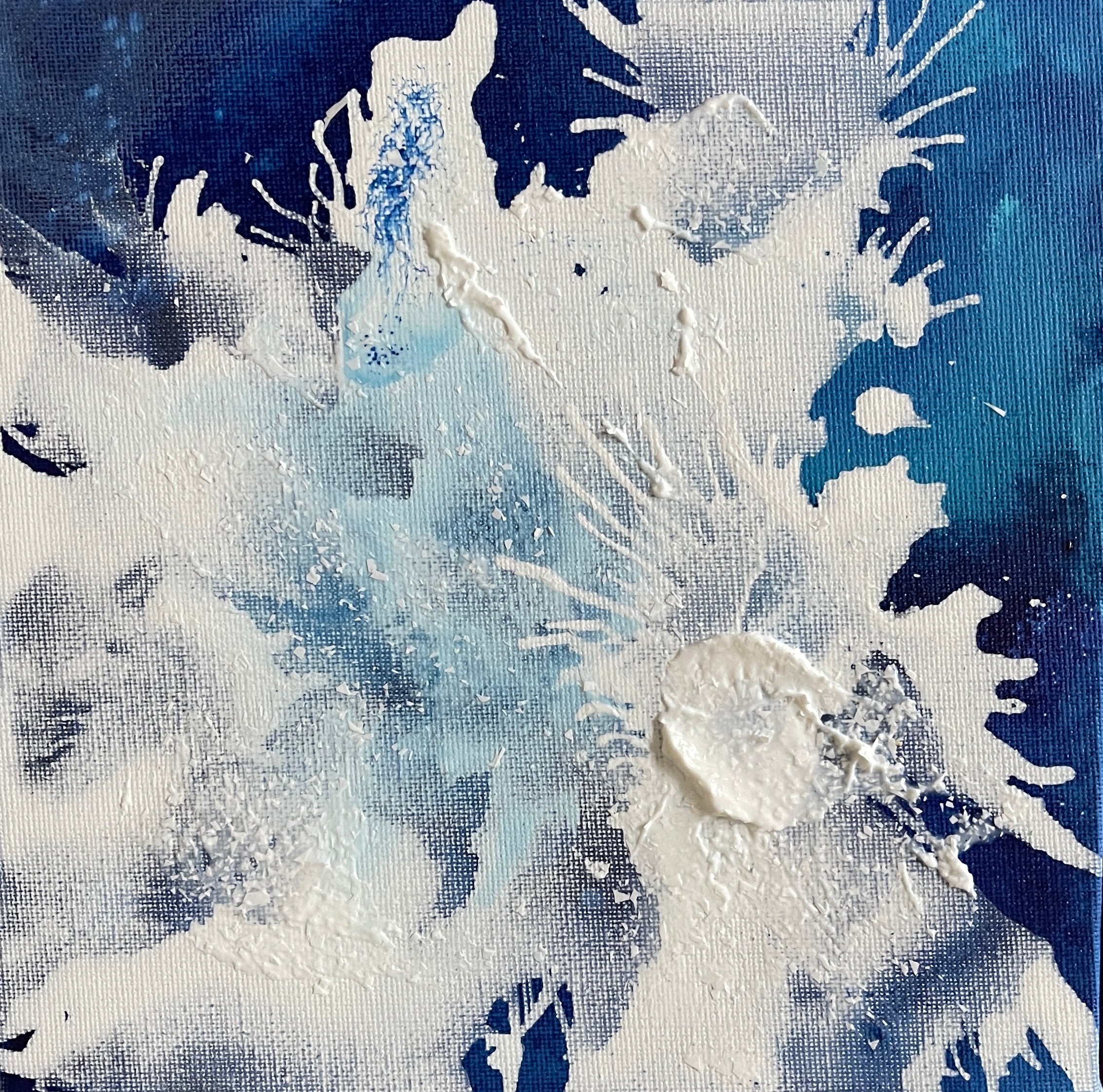 Bubble Coral – THE EDITIONS STORE